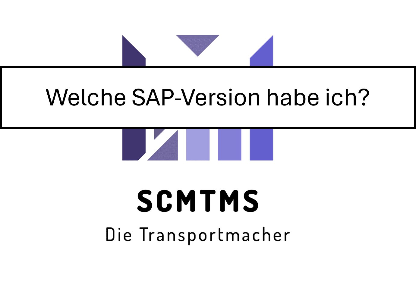 Welche SAP-Version habe ich? Kurze Anleitung